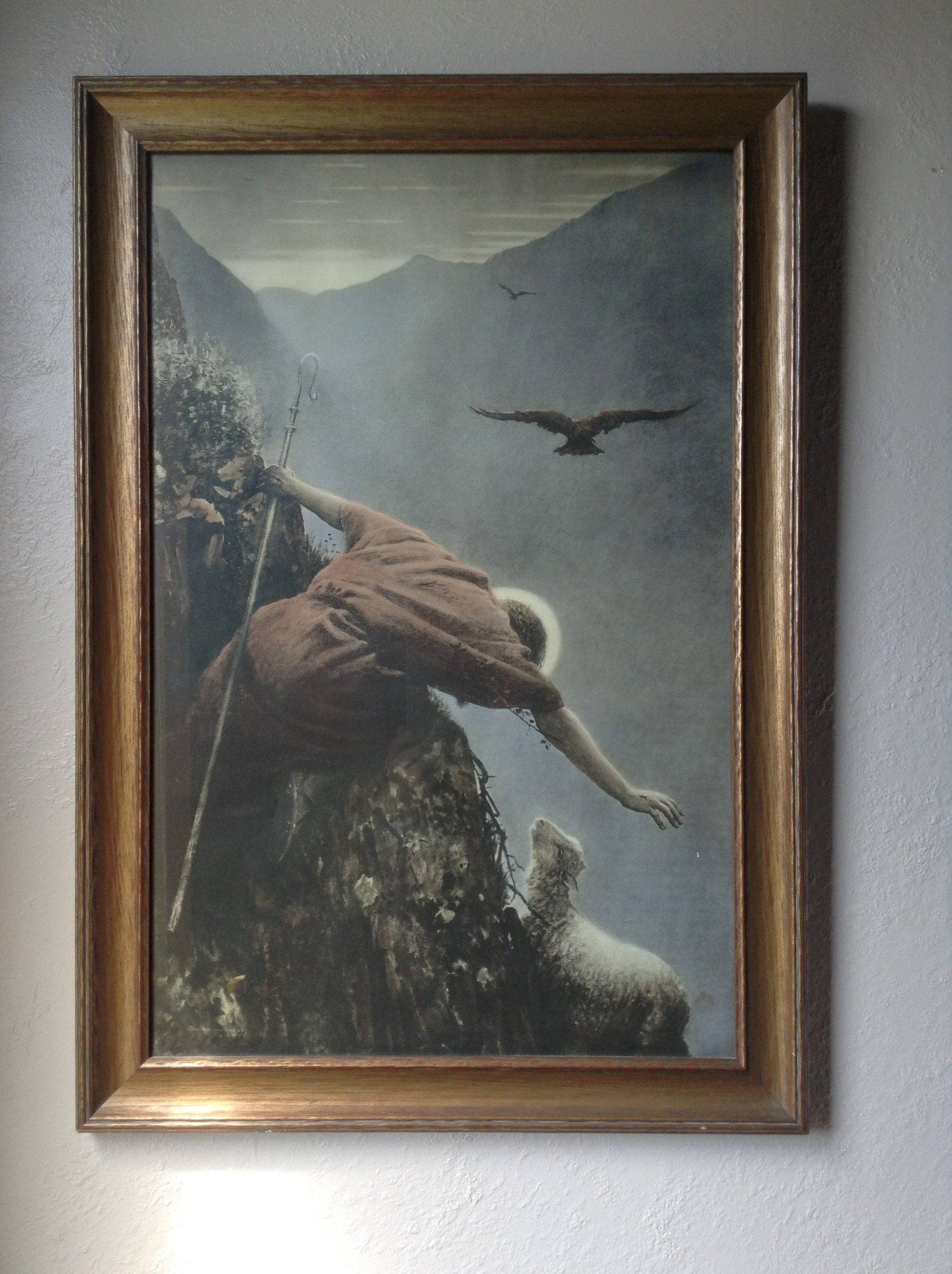 Finding the Flock | https://www.universityucc.org