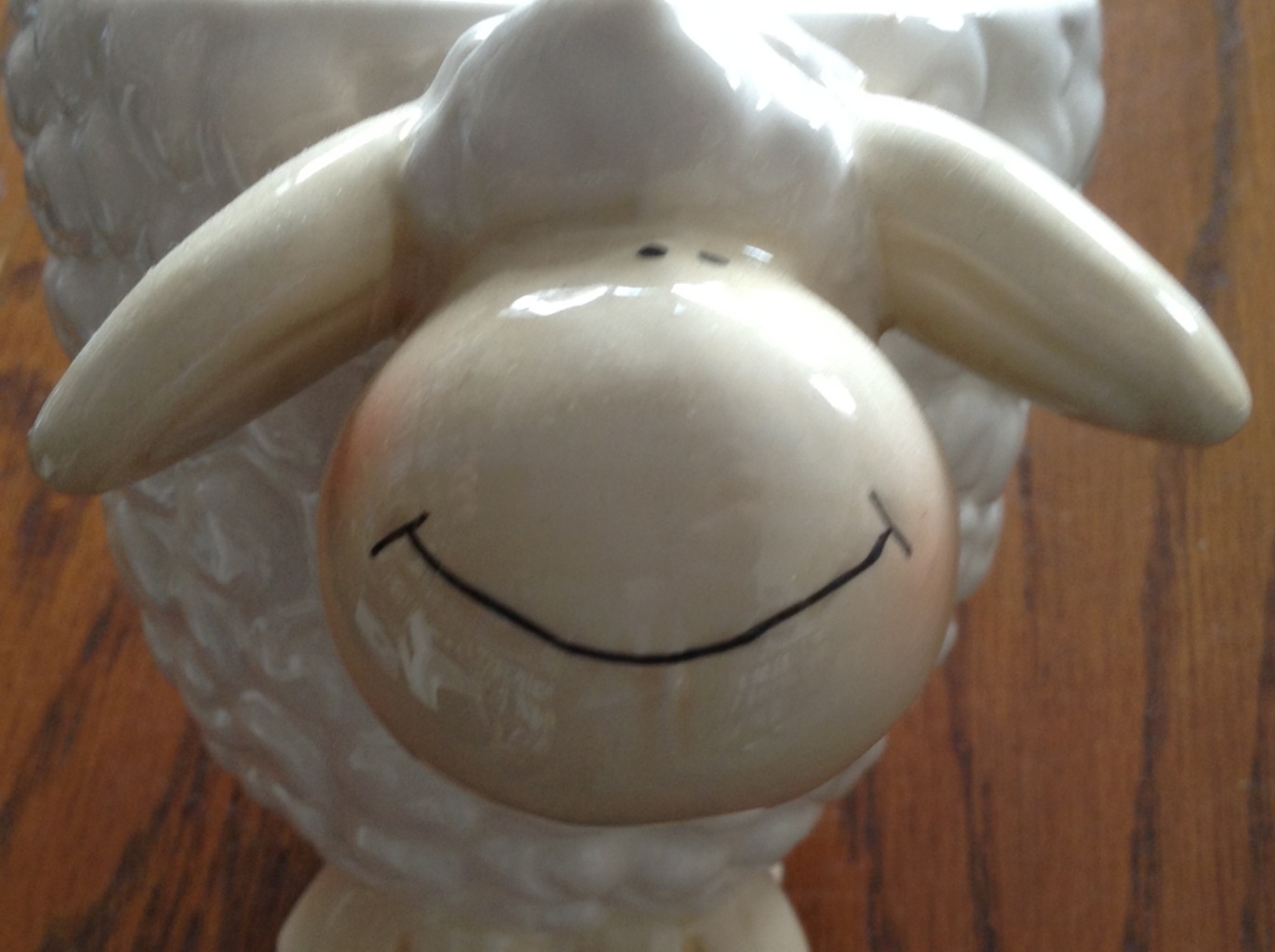 A Superfluity of Sheep | https://www.universityucc.org